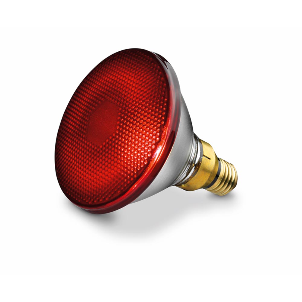 Beurer 150-Watt Infrared Bulb Replacement for SIL 16, IL 21, IL 35 Inf